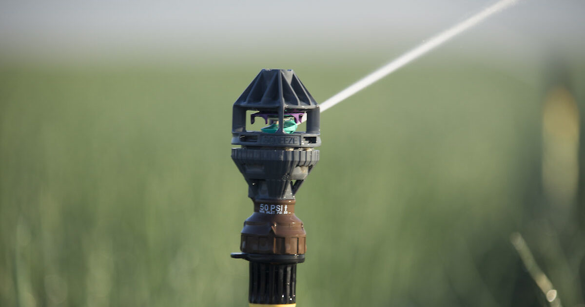 Rotator® Sprinklers