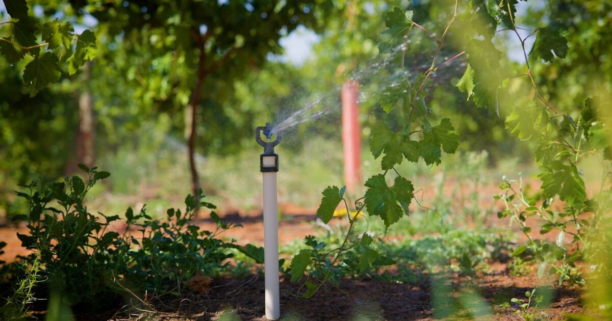 Full Coverage Irrigation